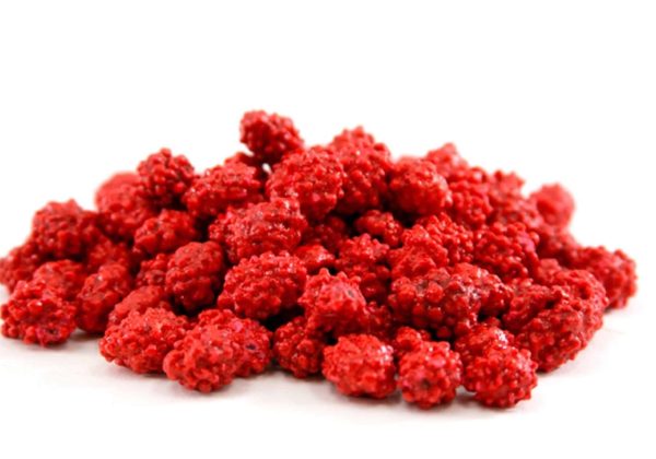 Nuts & Candy With Nuts Archives - Grandpa Joe's Candy Shop